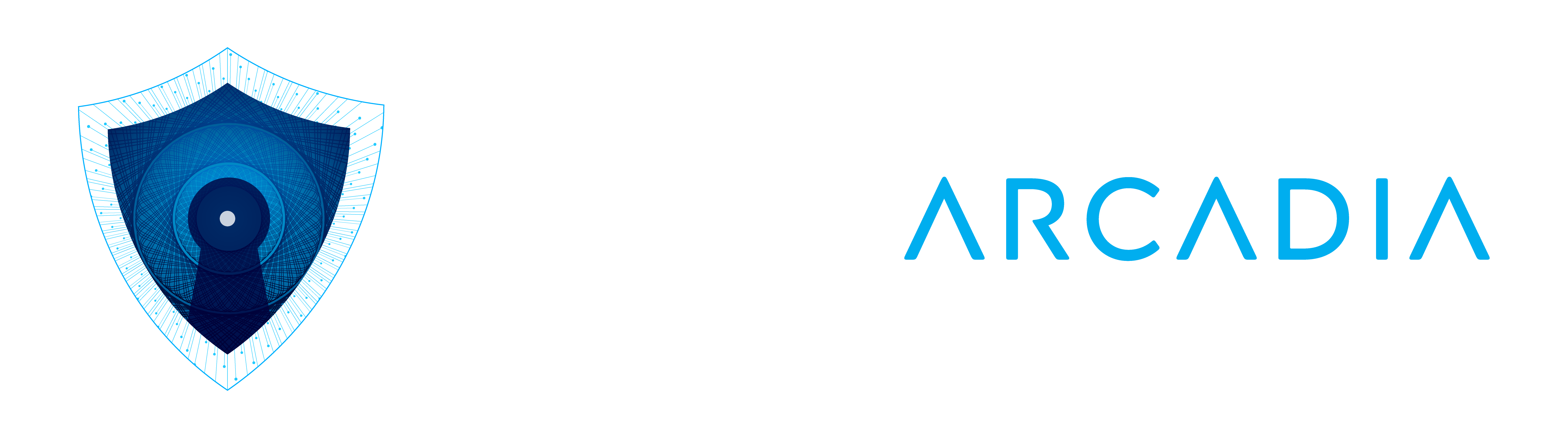 Cyber Security
